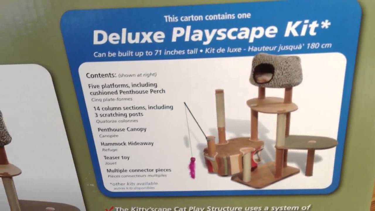 Solvit Products Kitty'scape product review, video 1 - YouTube