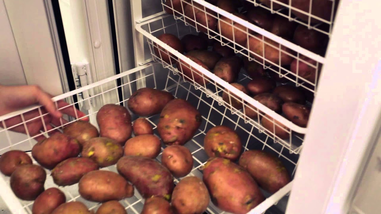 Potato Hotbox (German) - YouTube