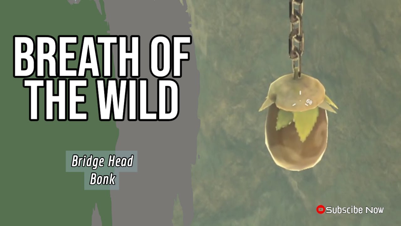Bridge Head Bonk | The Legend of Zelda: Breath Of The Wild[75] - YouTube