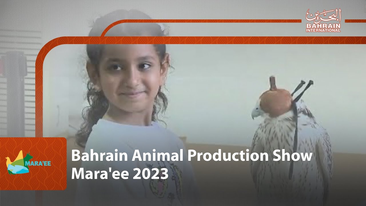 Bahrain Animal Production Show Mara'ee 2023 Special Program - YouTube