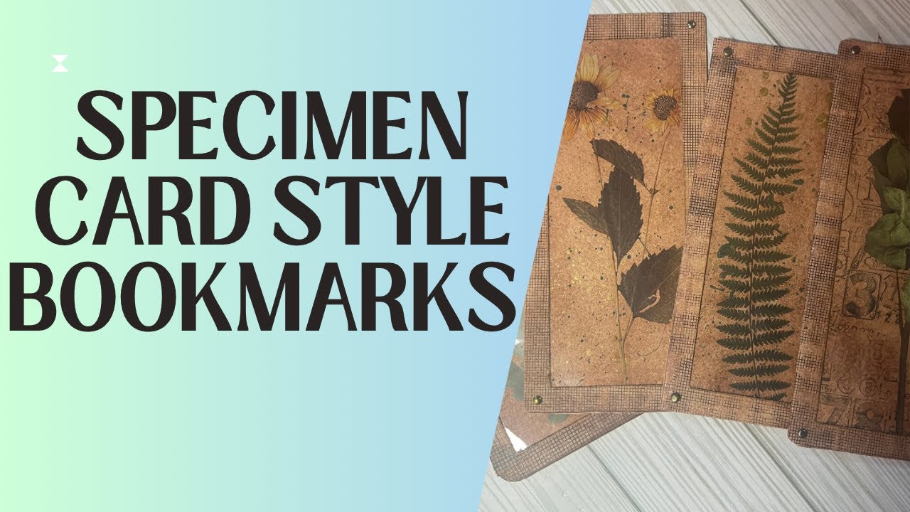 Jumbo Specimen Cards with tutorial - YouTube