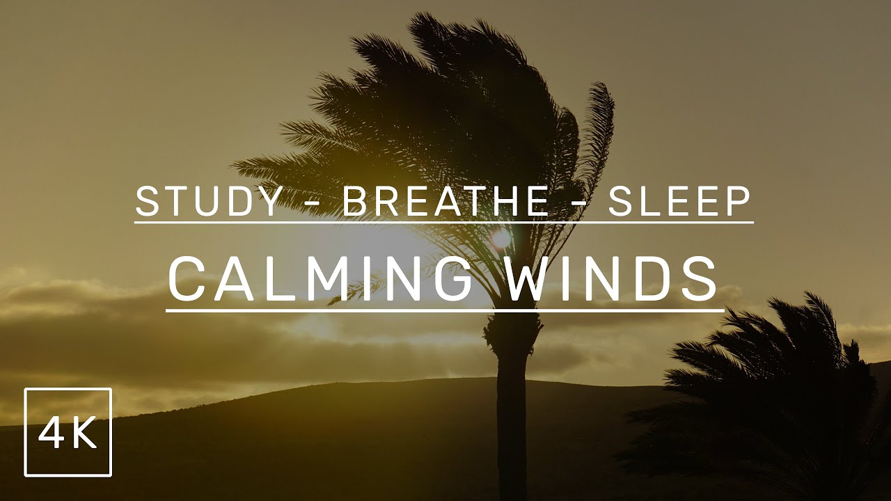 Breathe Easy With 3 Hours of Calming Winds & Wind Chimes | Sleeping ...