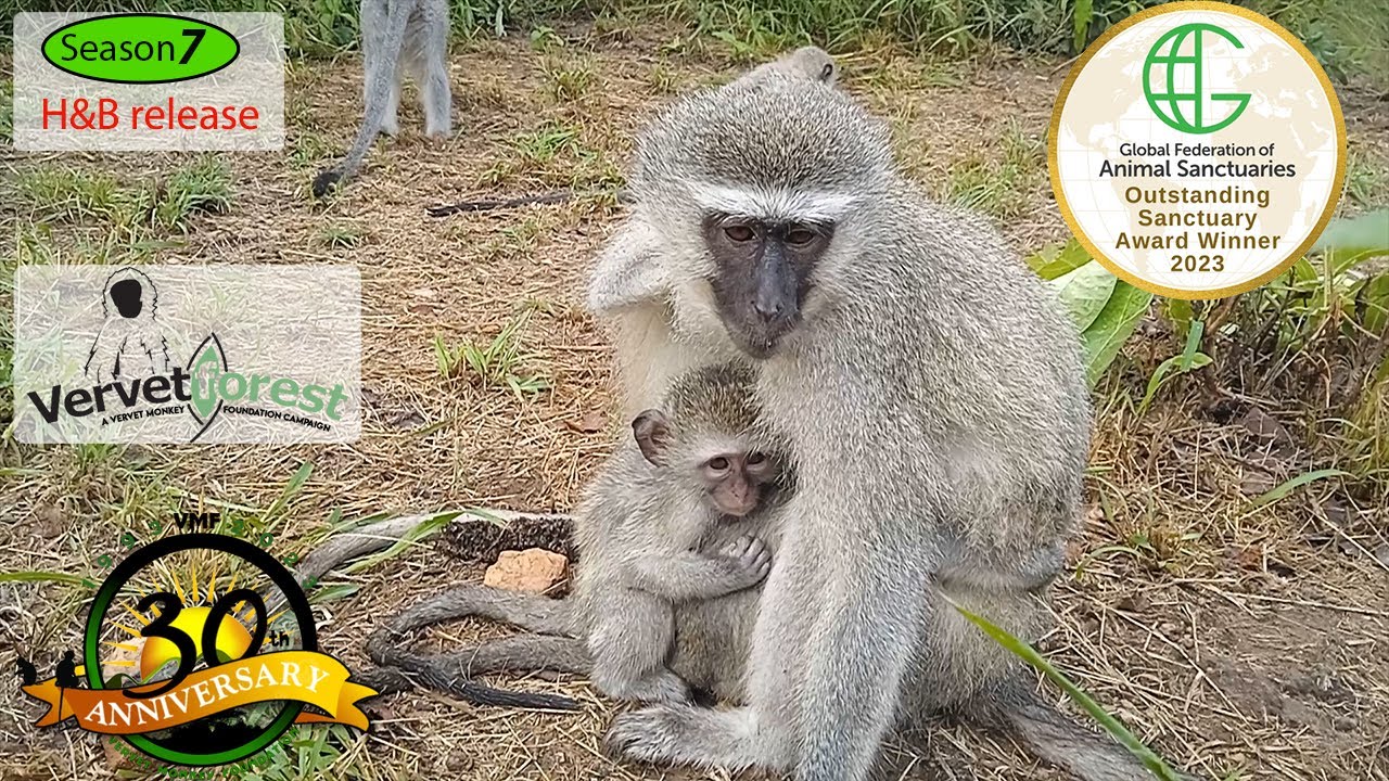 Another thrilling integration as 4 little orphans join the troop with a ...