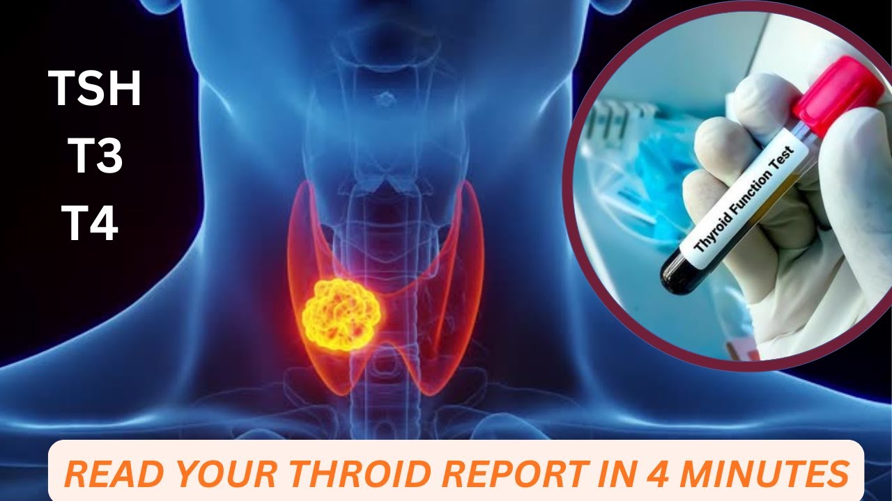 Thyroid Tests Explained: How to Read Your Thyroid Blood Tests - YouTube