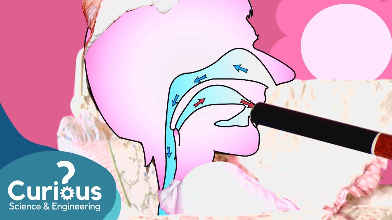 Why Do We Snore? | ExperiMental | Curious?: Science and Engineering ...