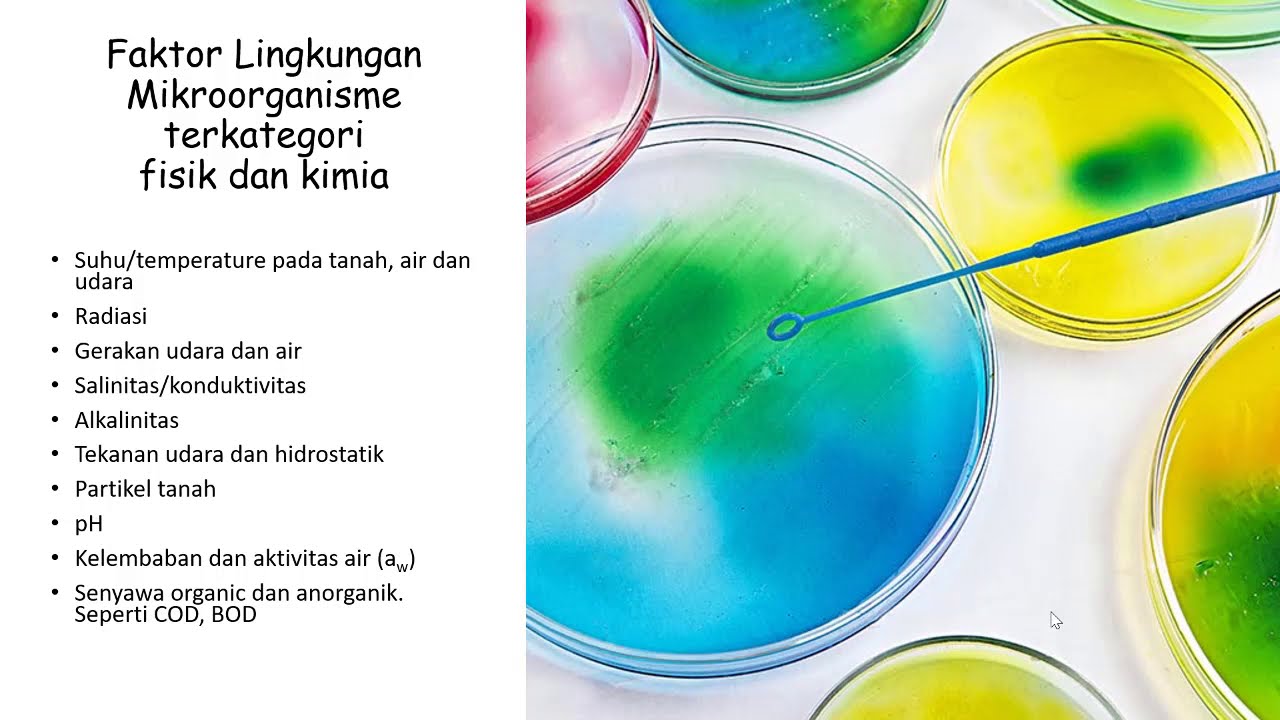 Peran Mikrobiologi lingkungan - YouTube