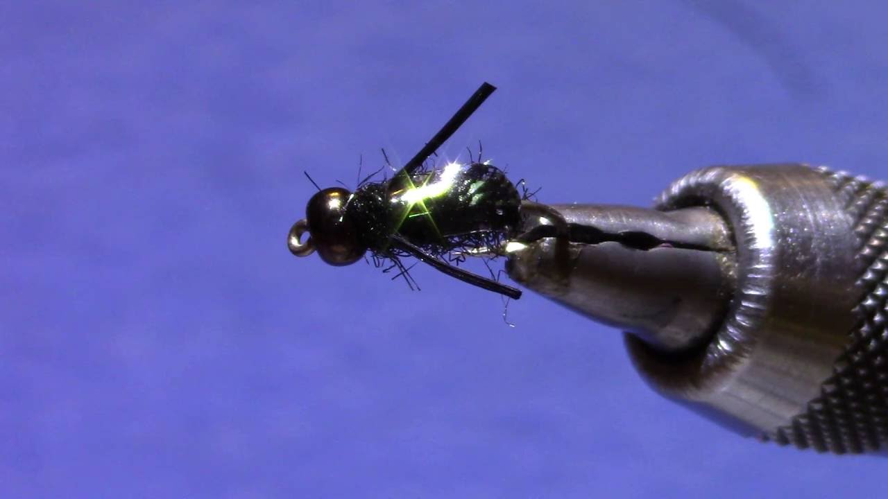 Tim's Water Boatman - YouTube