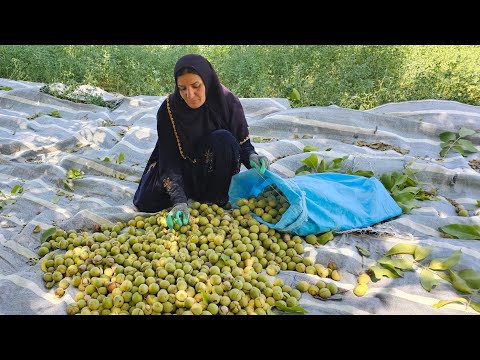 Farida's brave adventure to earn money on the farms