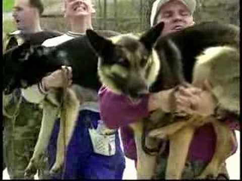 K9 Police Academy - YouTube