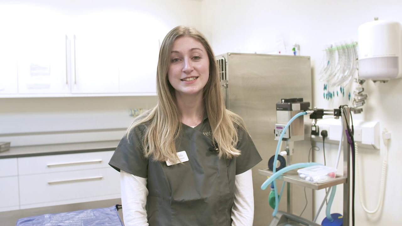 Meet the team - Dr Stephanie Malone BVSc MRCVS - YouTube