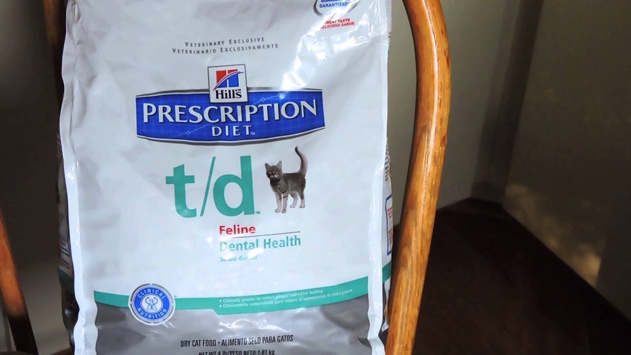 Prevent Tooth Decay In Cats-Protecting Your Cat's Teeth - YouTube