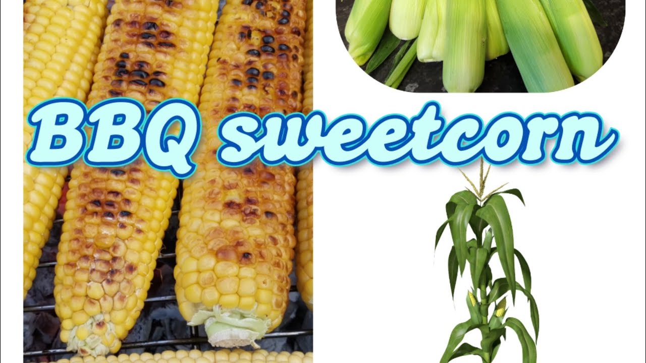 BBQ sweetcorn charcoal corn on cob - YouTube