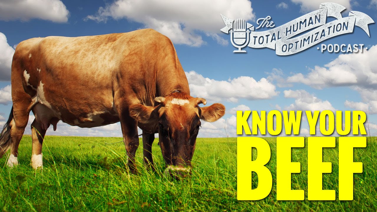 #78 Know Your Beef | Total Human Optimization Podcast - YouTube