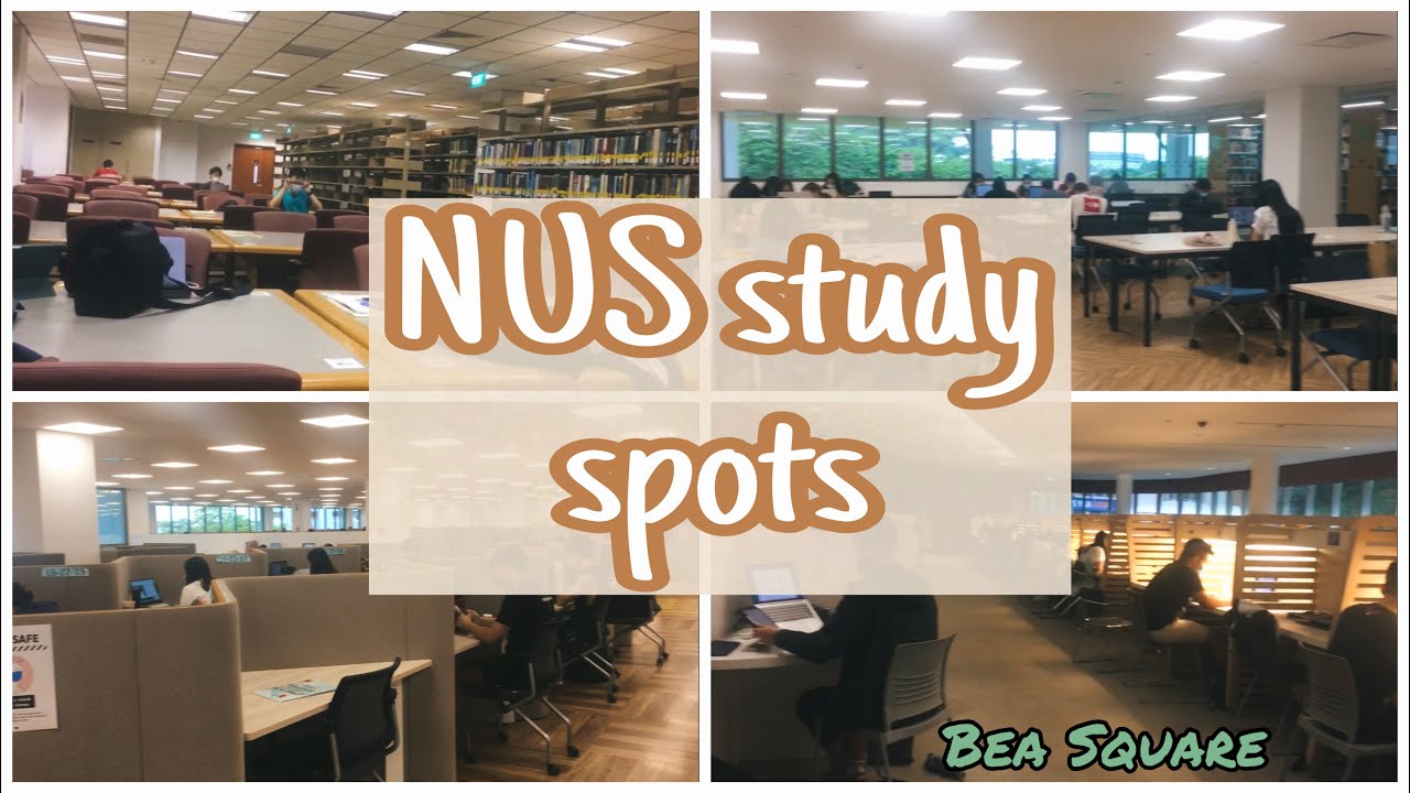 Where to study in NUS campus | Bea Square - YouTube