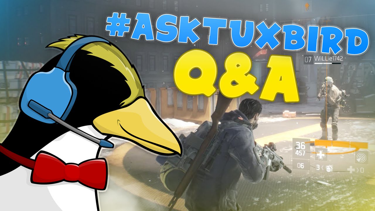FACE REVEAL, CS:GO AND MORE! - #AskTuxBird Q&A - YouTube