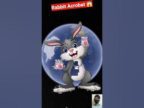 Rabbit Acrobat On Google Earth 😱 #shorts #youtubeshorts #shortsfeed # ...