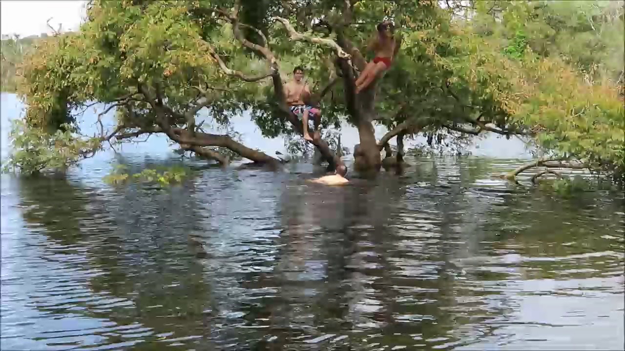 Swimming in Amazon river Tupana - YouTube