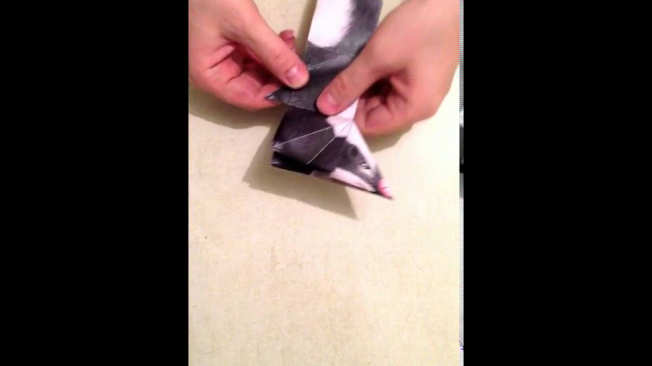 Origami skunk with embossed lines - YouTube