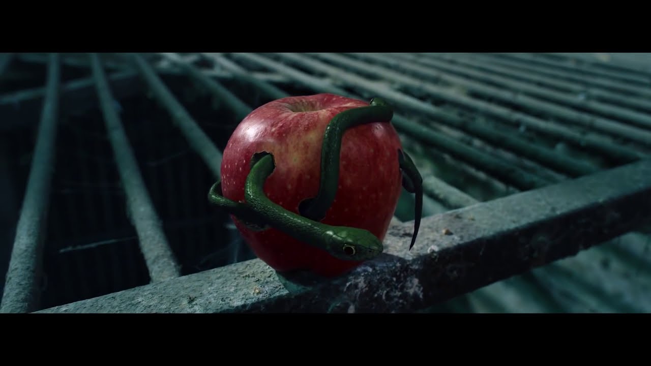 SNAKE IN APPLE! 3D Natural Snake Videos 1080p - YouTube