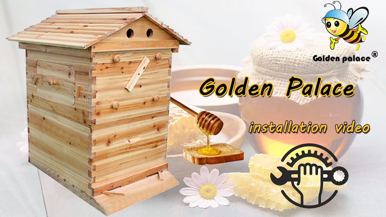 CH Golden palace Auto-flow hive assembly video 2023 - YouTube