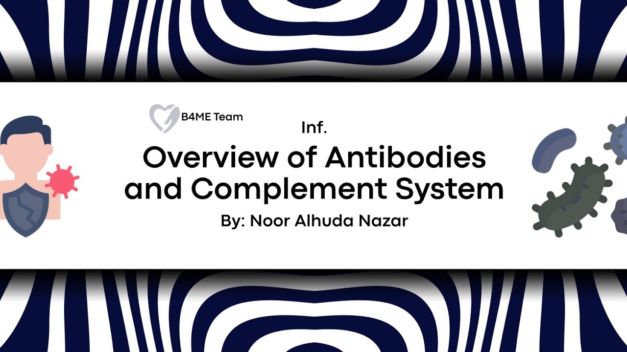 INF | Overview of Antibodies and Complement System - YouTube
