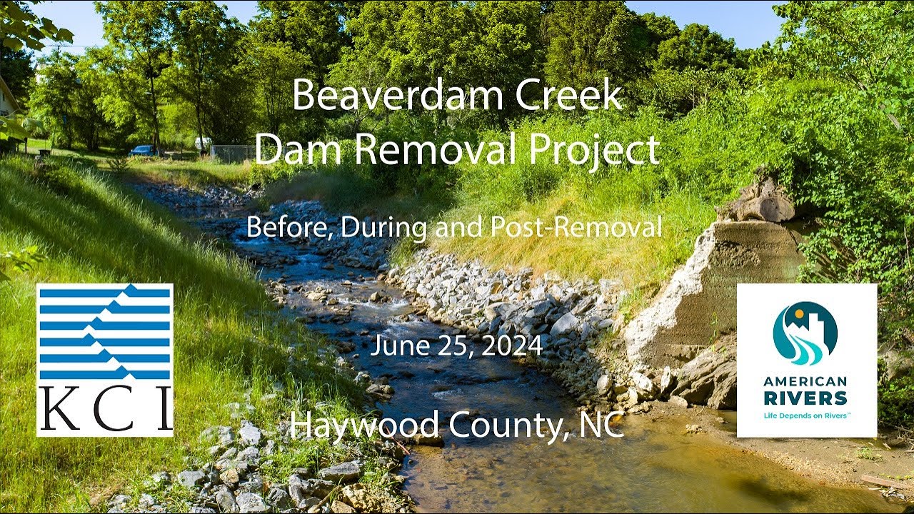 Beaverdam Creek Dam Removal Project - YouTube