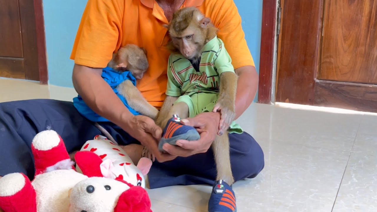 Handsome Monkey!! Grandpa Clothes Outline for Princes Tin - YouTube