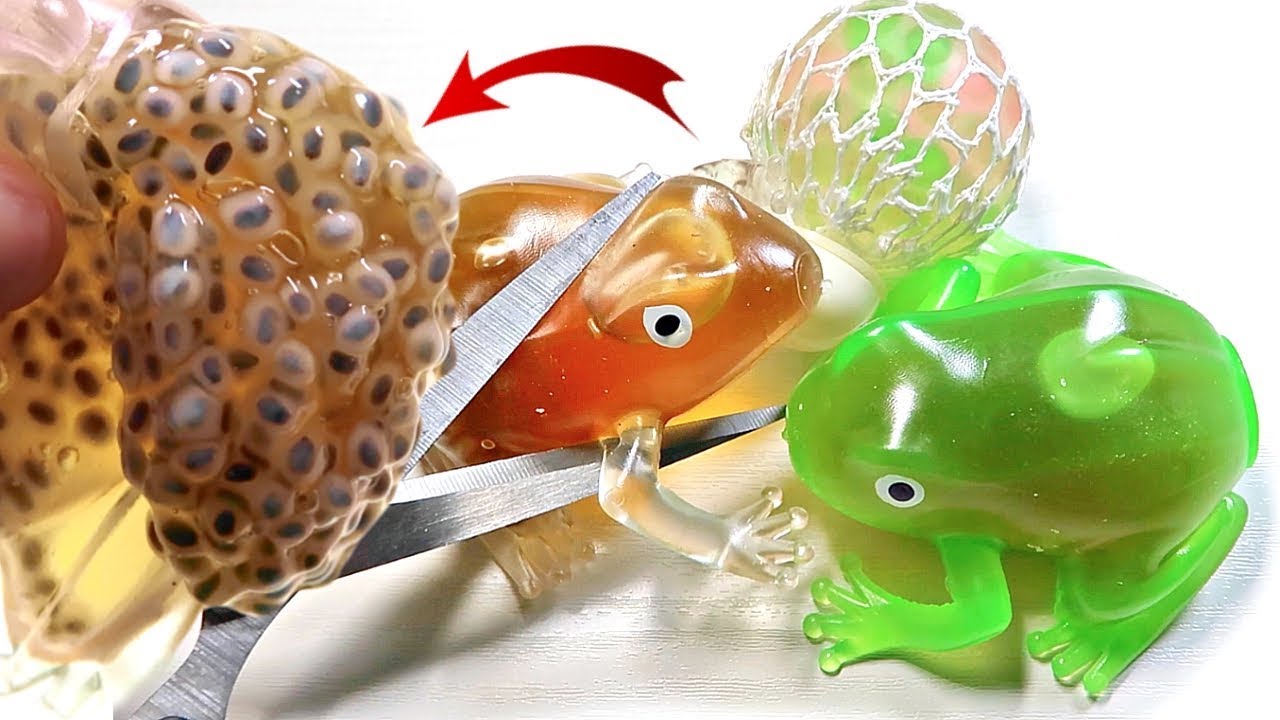 Cutting Open Orbeez Slimy Squeezable Toy - YouTube