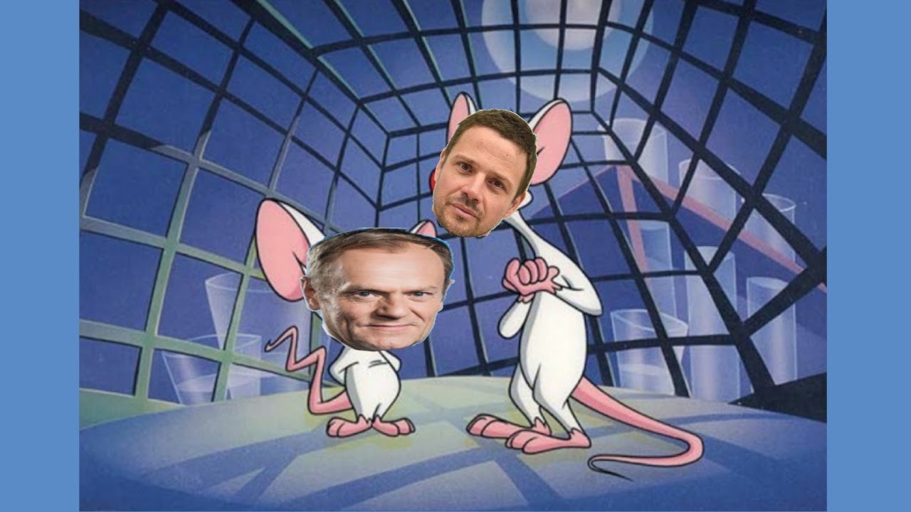 To Pinky jest Tusk ! - YouTube