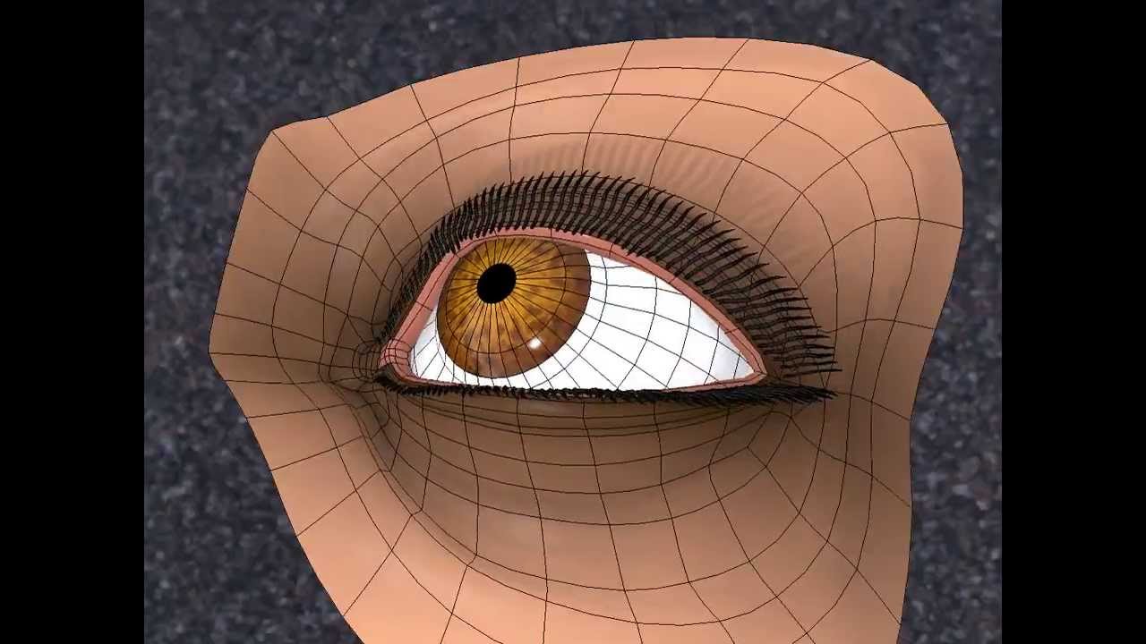 3Ds MAX eye animation test (eye people-lids-orientation-cornea pushes ...