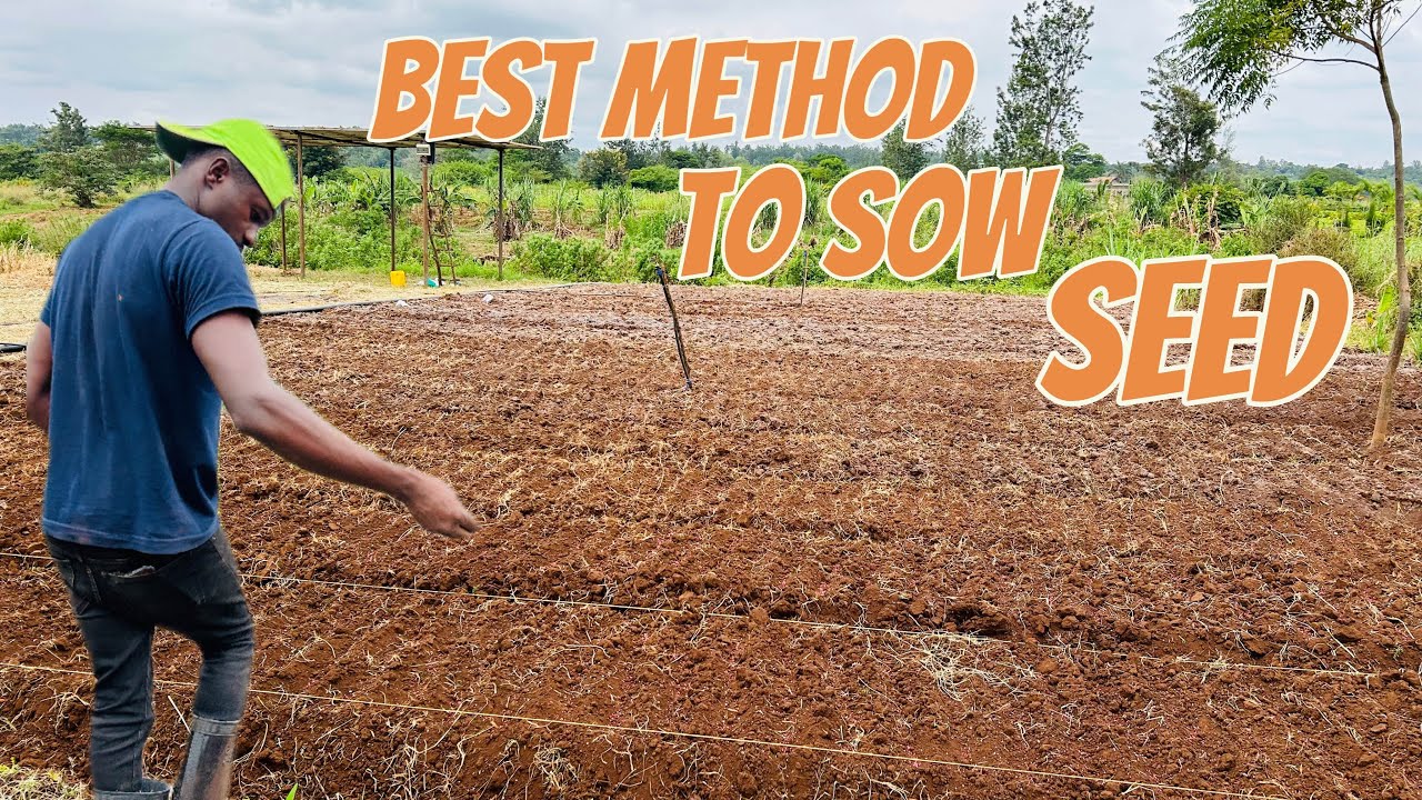 How to saw different types of seeds considering their sizes.Use of ...