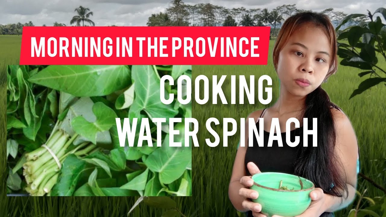 morning in the province cooking water spinach spinach recipe - YouTube