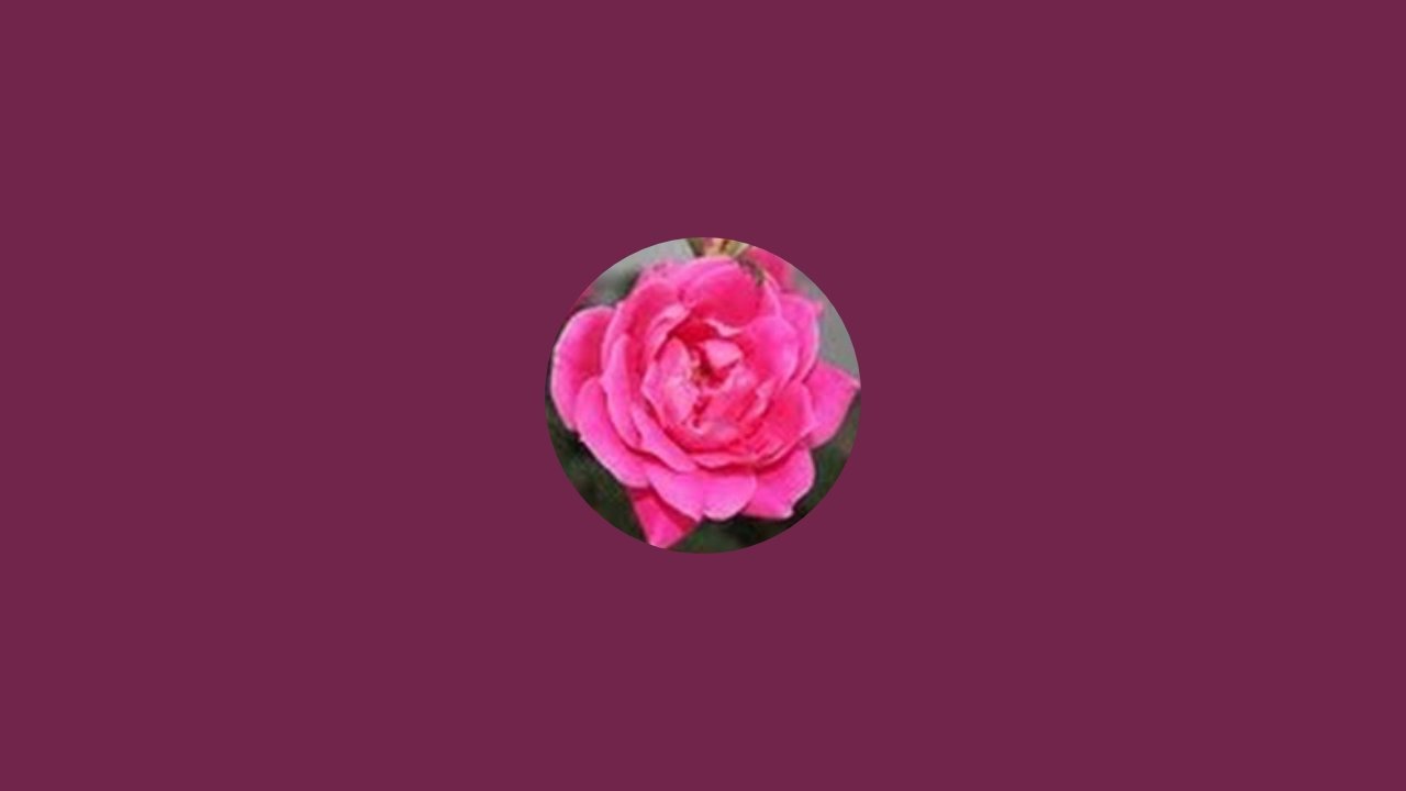 In Rose's Garden is live! Starting a Wire Circlet. - YouTube