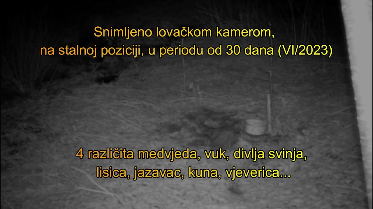 Noćni video snimak lovačkom kamerom - YouTube