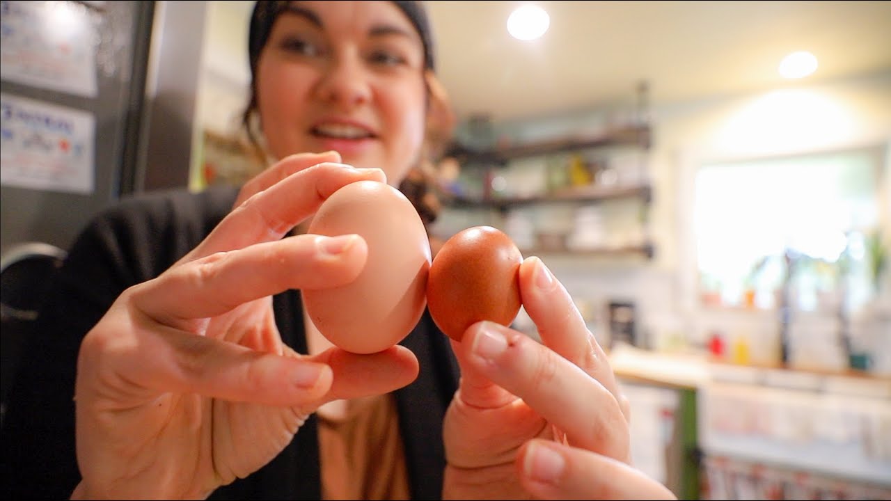 Kitchen - Roots and Refuge