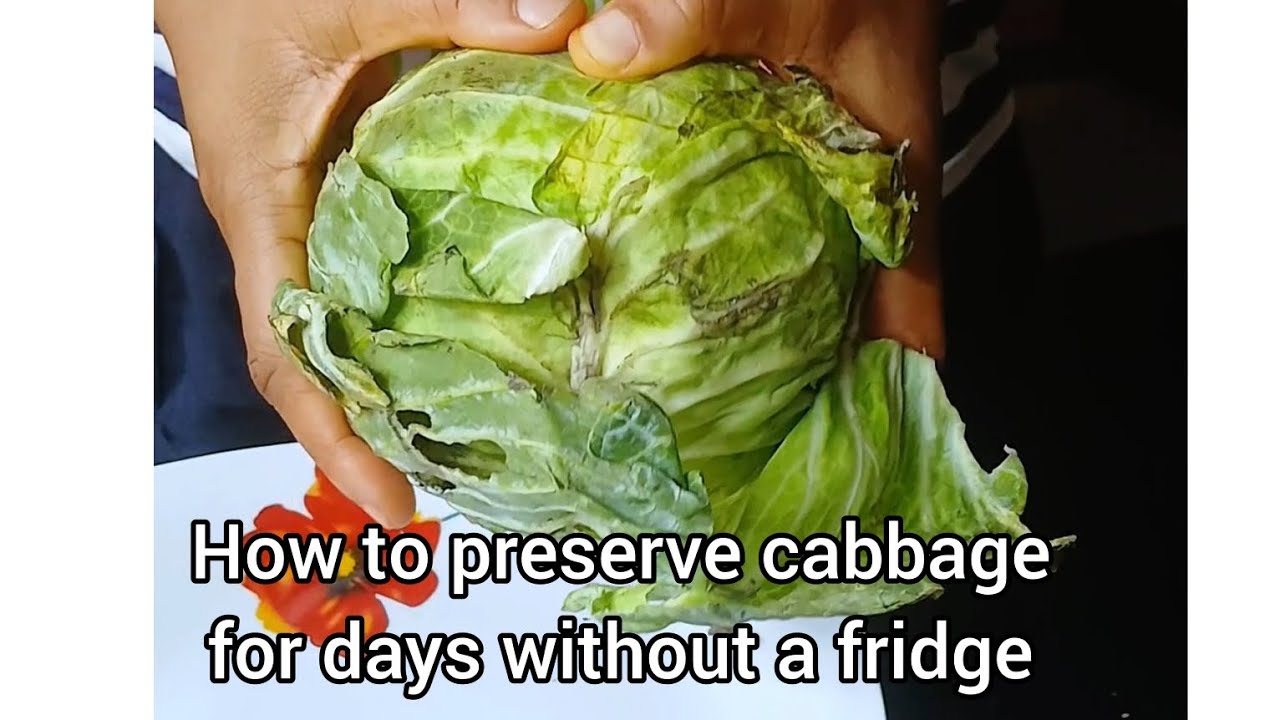 Keep your cabbage this way to last for days without spoiling. Room ...