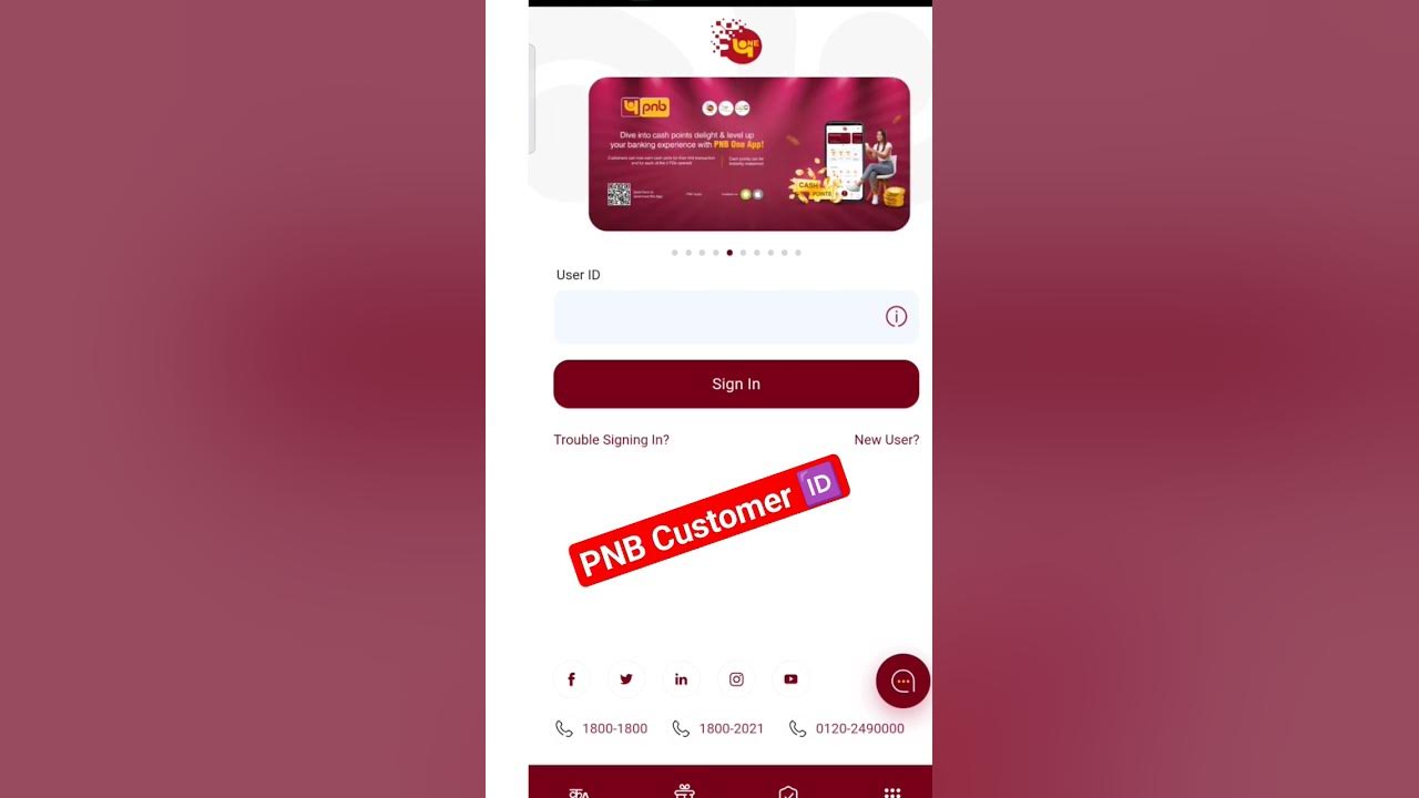 Customer ID PNB Bank Punjab National Bank User ID Kya Hota Hai customer-id-pnb-bank-punjab-national-bank-user-id-kya-hota-hai