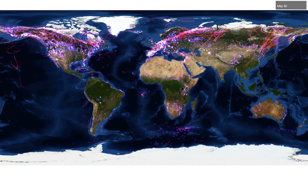 Global animal movements based on Movebank data (map) [Updated!] - YouTube