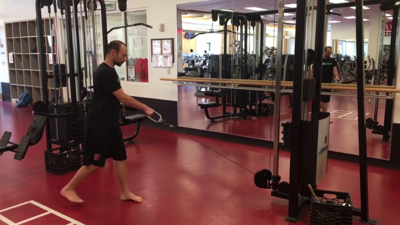 1 Arm, 1 Leg Cable RDL w/ Row - YouTube