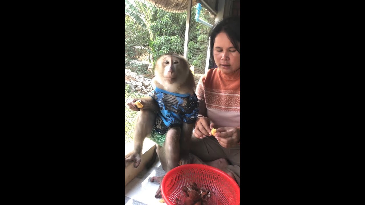 Jason Smart Talk Meaning To Camera - YouTube