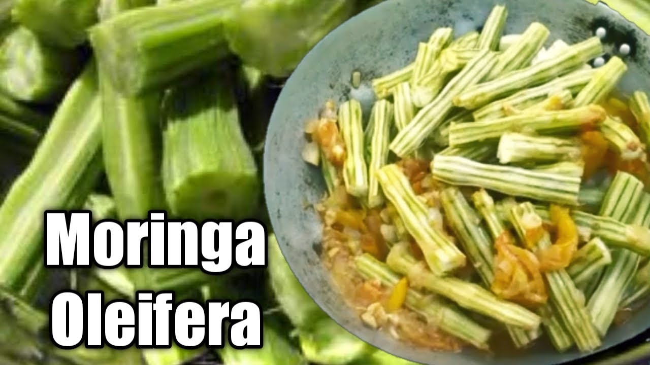 Bunga ng malungay How to cook (Panlasang Pinoy Recipe) Yummy and ...