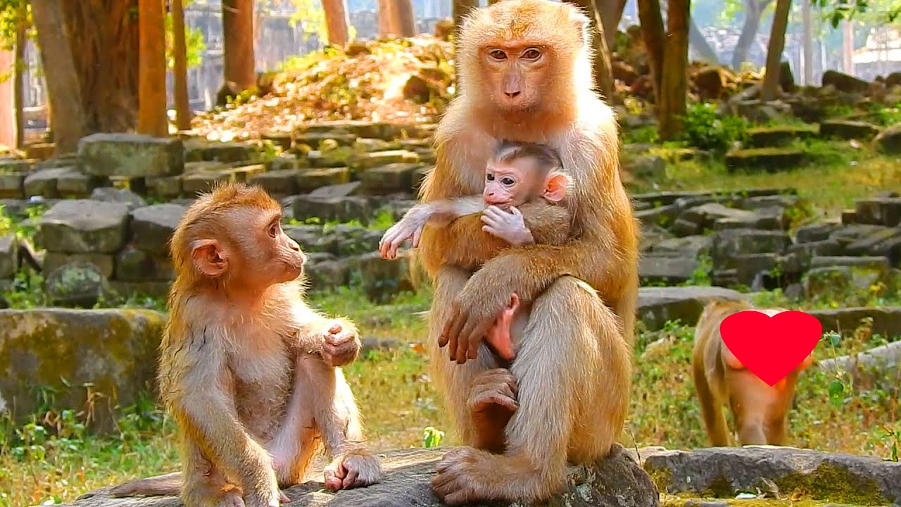 Breaking News! Amanda has successfully stolen Lily from Libby, Amanda ...