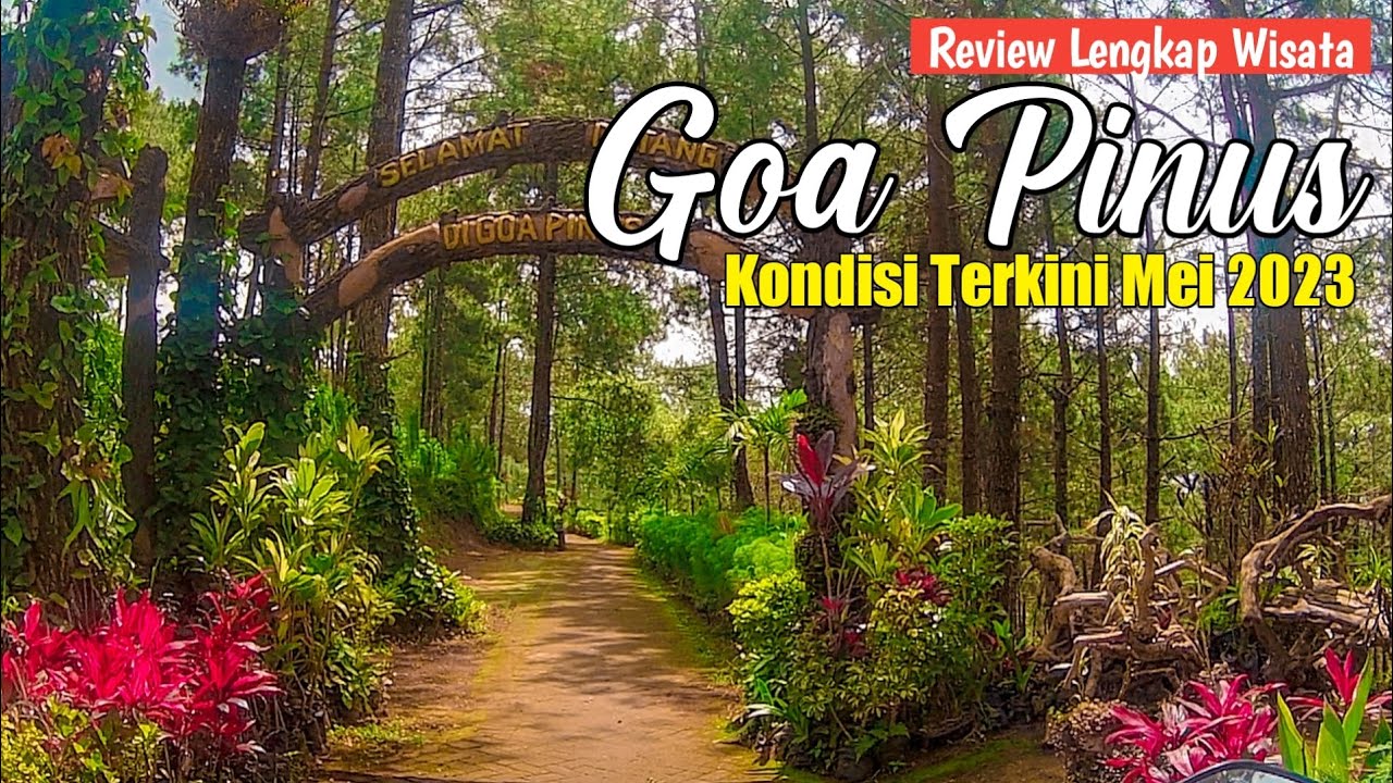 Hidden Gem: Goa Pinus, Batu Malang - YouTube