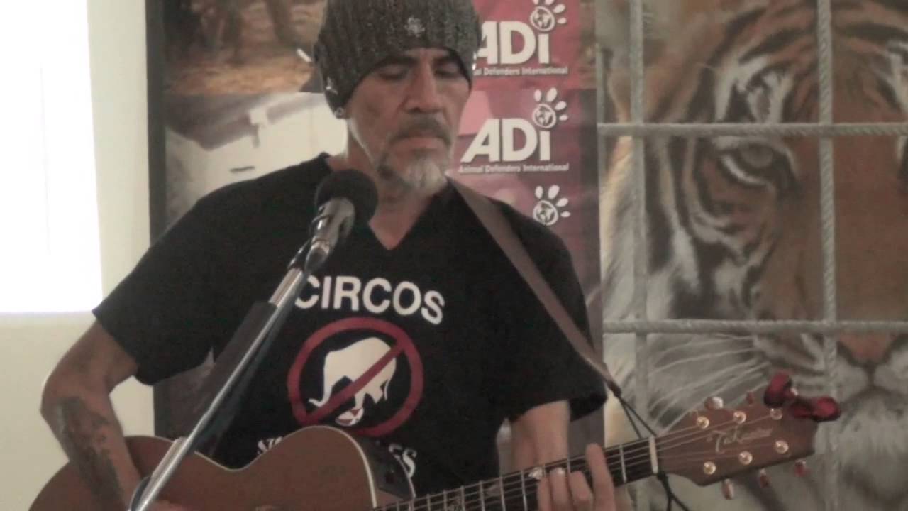 Chucho Merchán | Circos sin alma (En vivo desde el Congreso de la ...