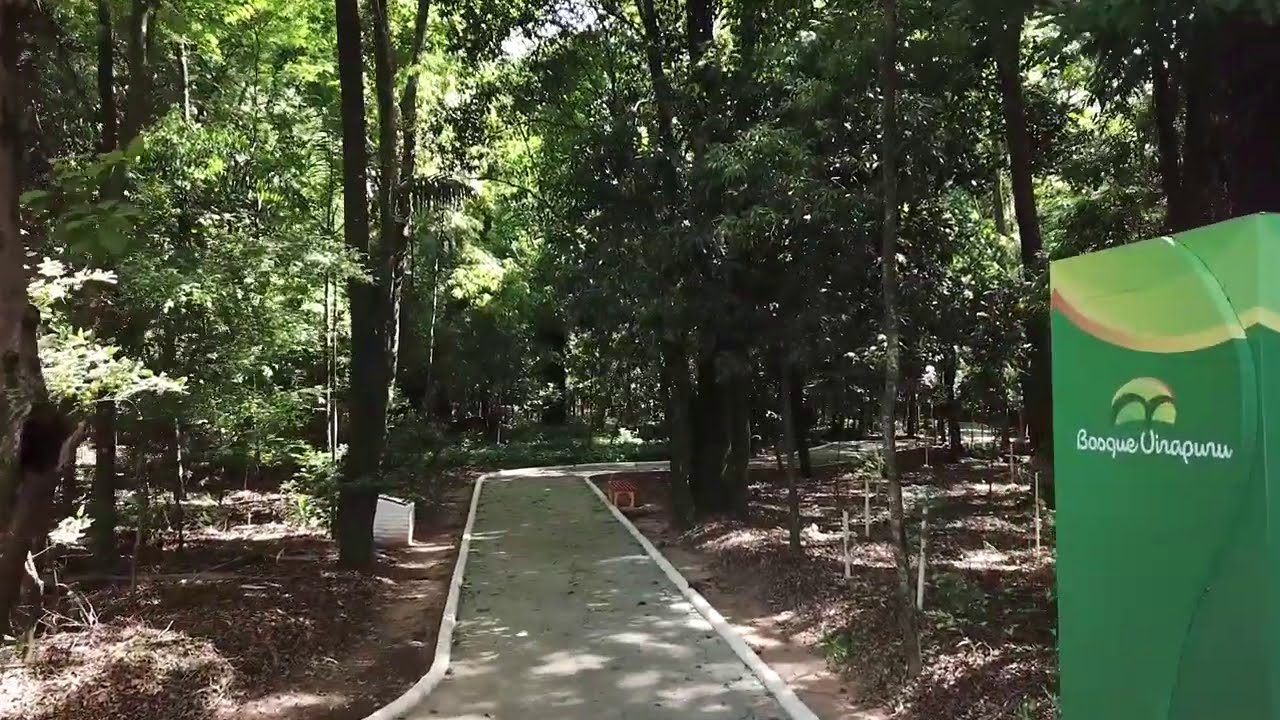 Revitalização do Bosque Uirapuru - YouTube