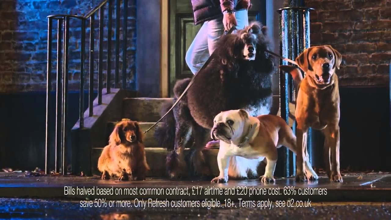 O2 TV Walking Cat Ad (Half the bill, double the moves 2015) - YouTube
