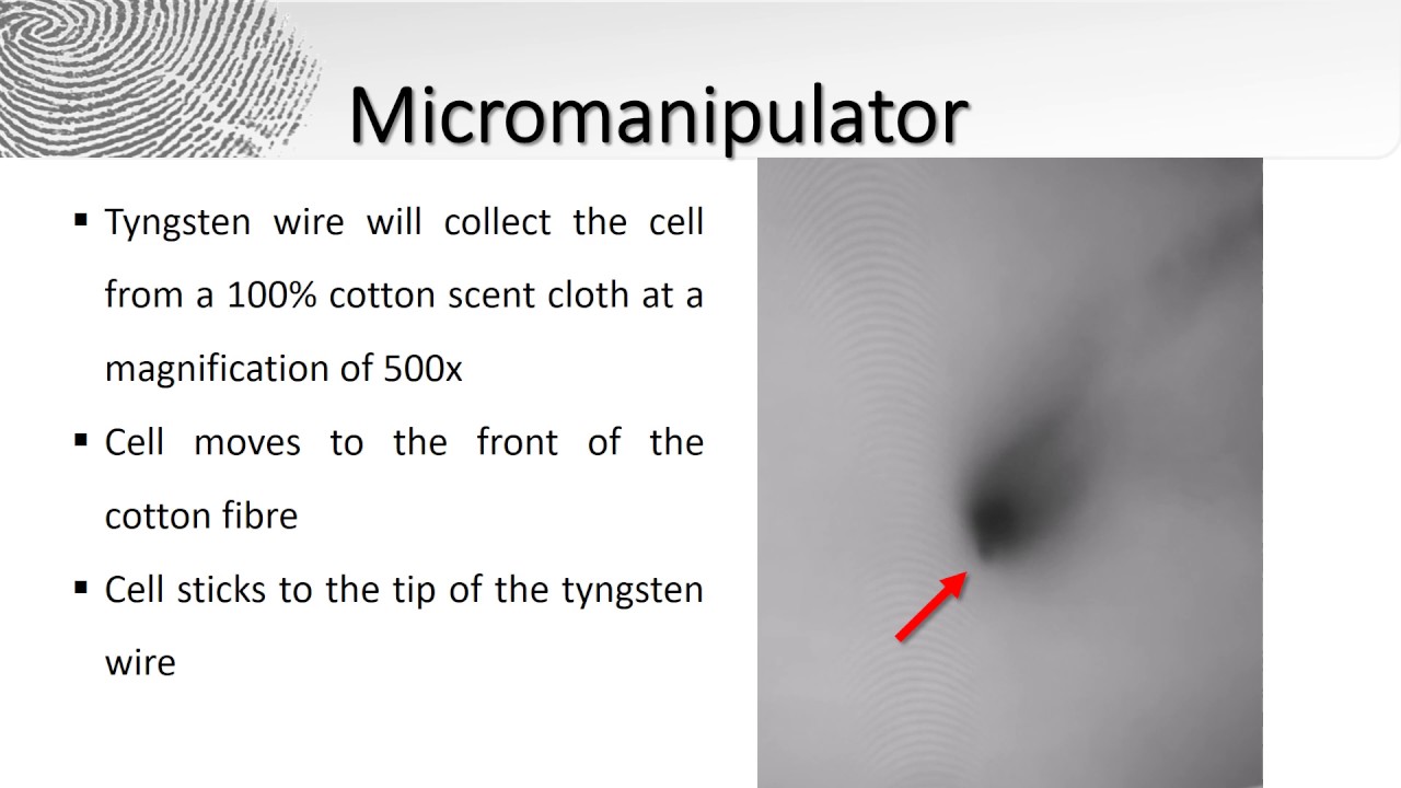 Simply explaining the Micromanipulator - YouTube