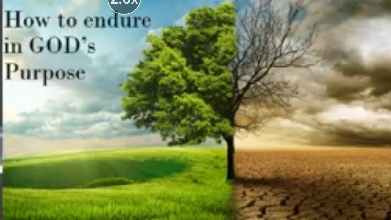 How To Endure In God's Purpose | Ayu Dyah | 22 September 2024 - YouTube