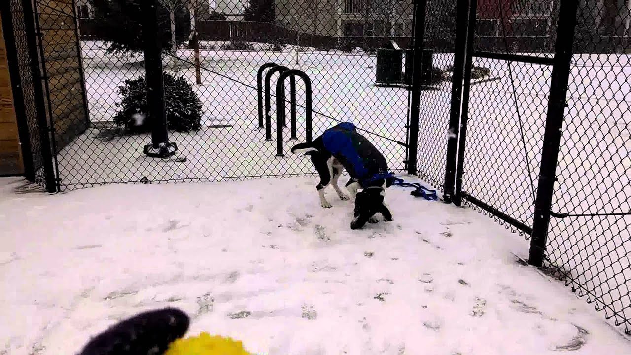 Toby snow 4 - YouTube