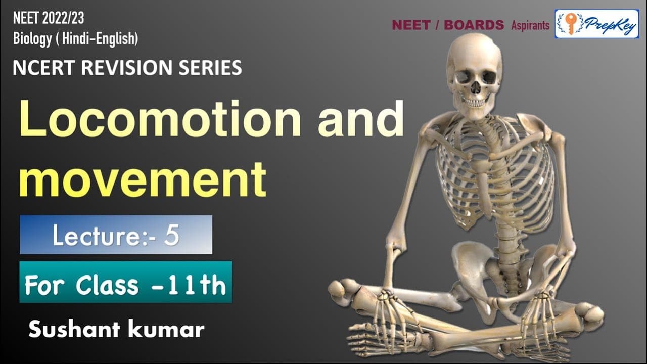 Locomotion and Movement | Mechanism of muscle Contraction | L -5 #NEET ...